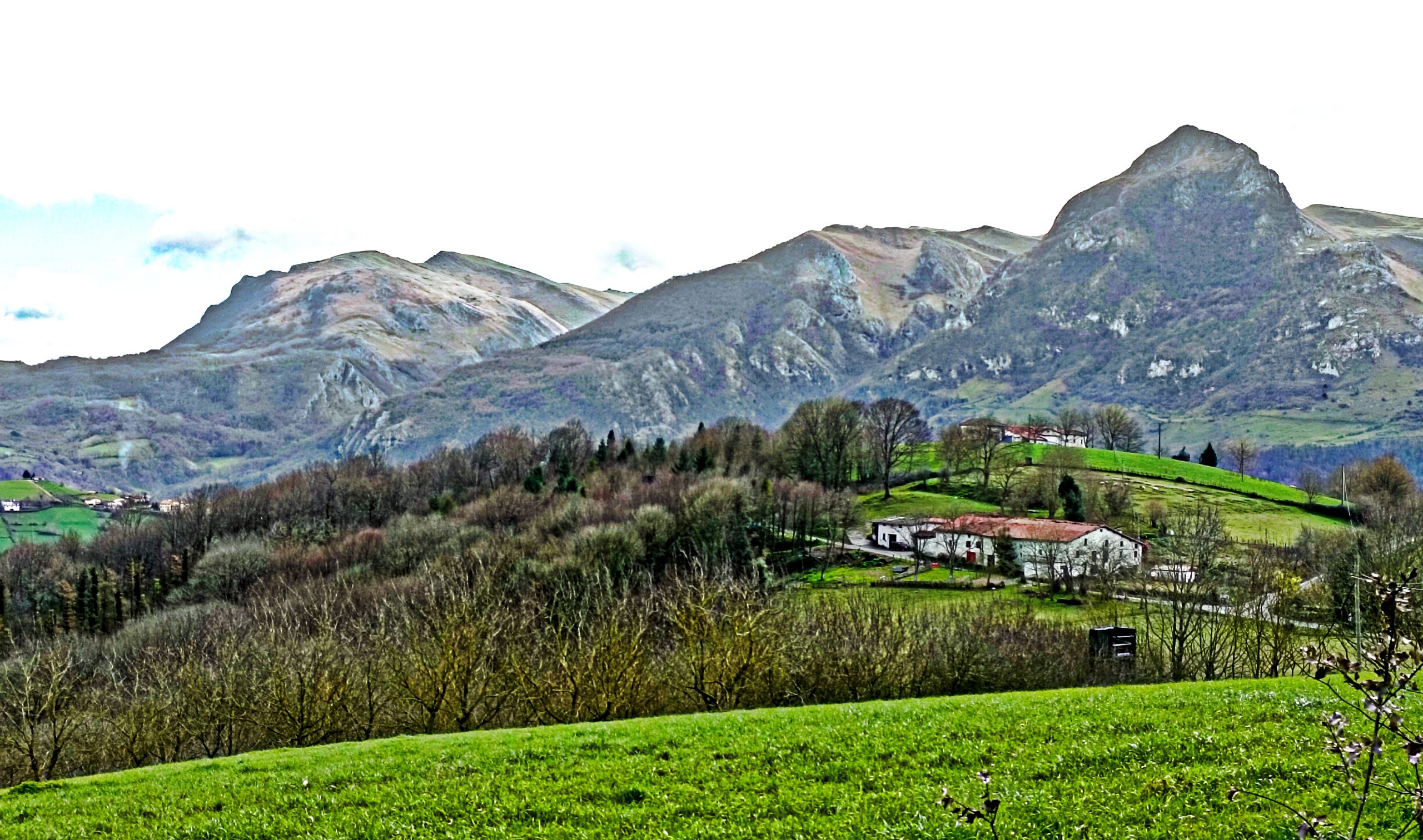 Basque countryside private tour - Basque Guides